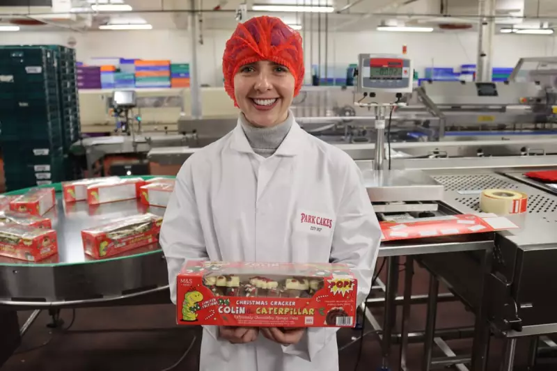 Inside M&S Christmas: Colin Caterpillar's Festive Makeover & TV Tonight ...