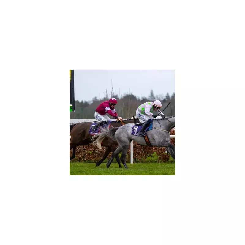 Lossiemouth Triumphs at Leopardstown, Erasing Memory of Seagull Fall ...