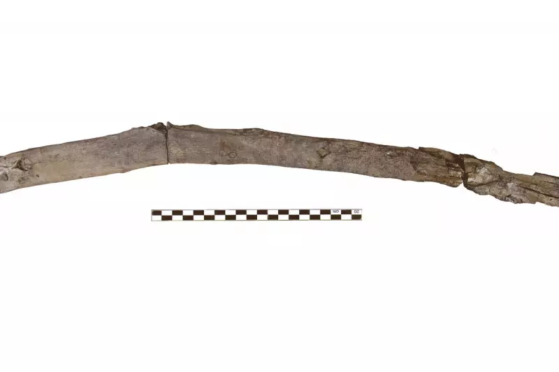 Archaeologists Unearth World's Oldest Wooden Tools in Greek Lake Basin ...