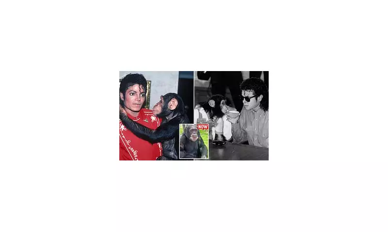 Bubbles the Chimp: From Michael Jackson's Party Pal to Peaceful Florida ...