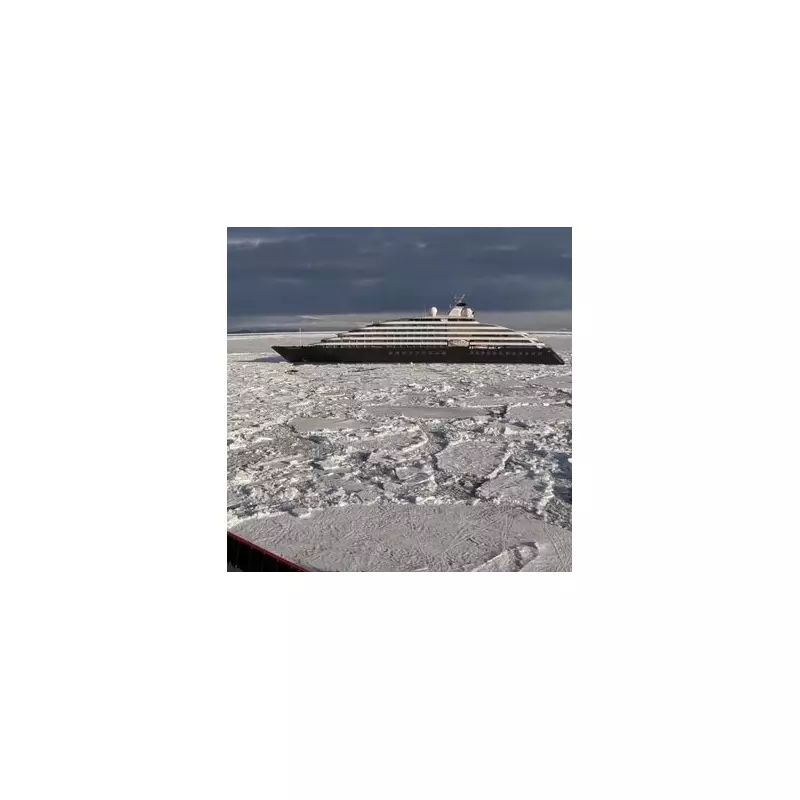 Champagne-Sipping Passengers Watch as US Coast Guard Frees Antarctic ...