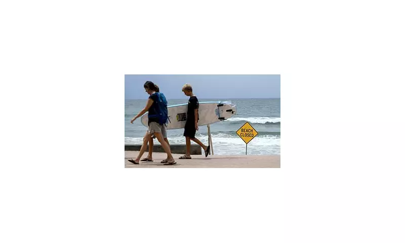 Four Shark Attacks in 48 Hours: Scientist Blames Human Pollution ...