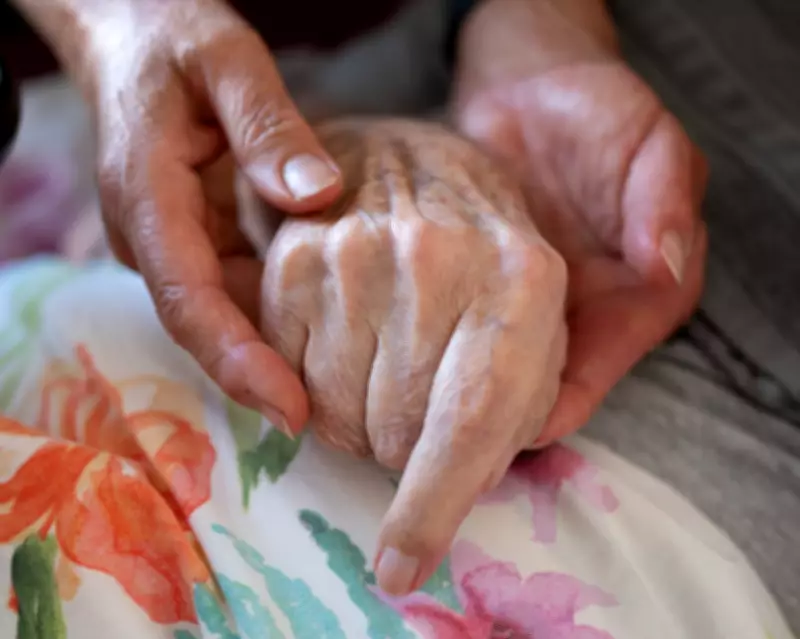 Intimate Portraits of Life's Final Chapter: Confronting Death with ...