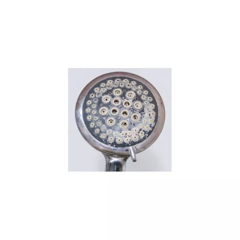 Lemon Juice Beats Vinegar: The Natural Way to Remove Shower Limescale ...