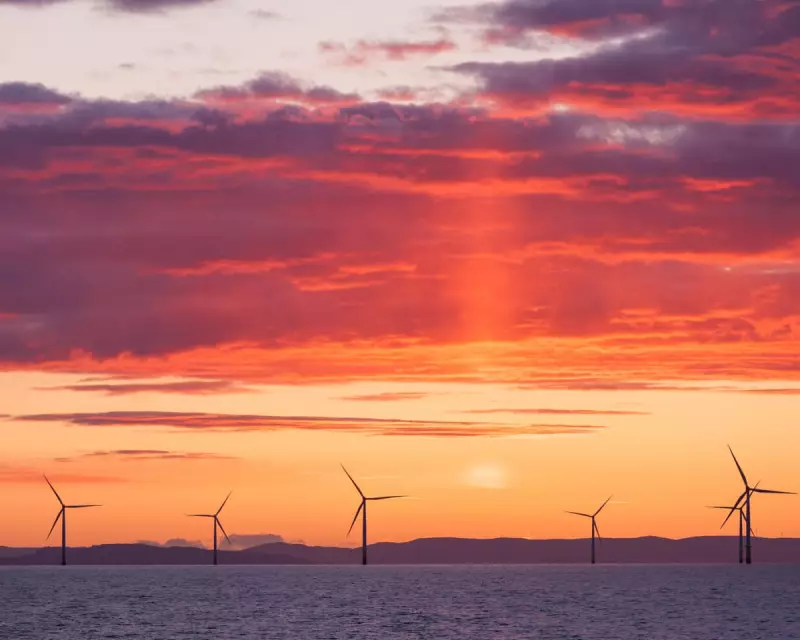 Record 8.4GW Offshore Wind Auction Proves Clean Power Critics Wrong ...