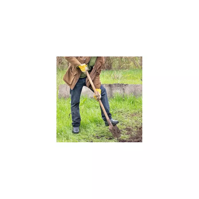 RHS Issues Critical January Lawn Care Warning: Avoid Frosty Footprints ...