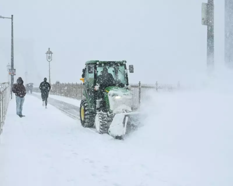 Severe Winter Storms and Deep Freeze Grip the United States - British Brief