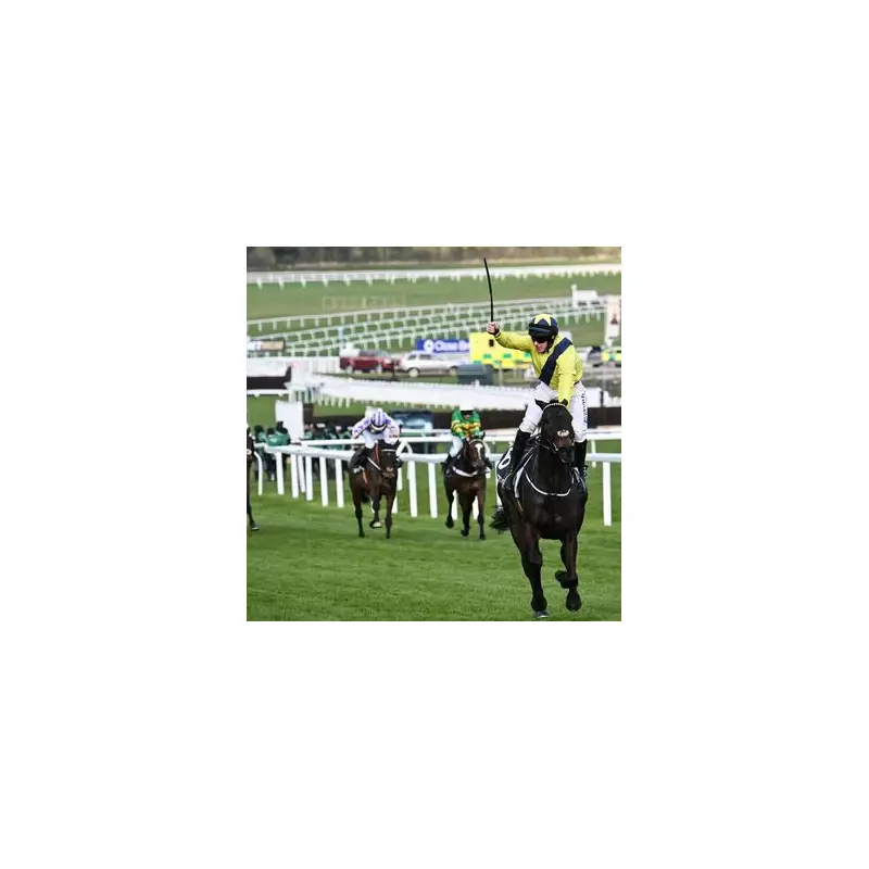 Trainer Barry Connell: 'Mickey Mouse race' won't stop Cheltenham ...
