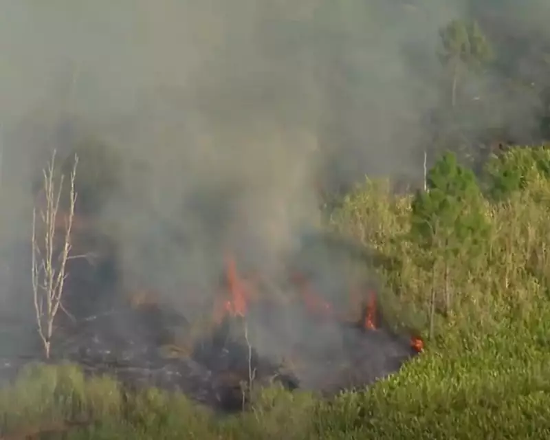Two Killed in Gold Coast Plane Crash That Ignites Bushfire at Regional ...