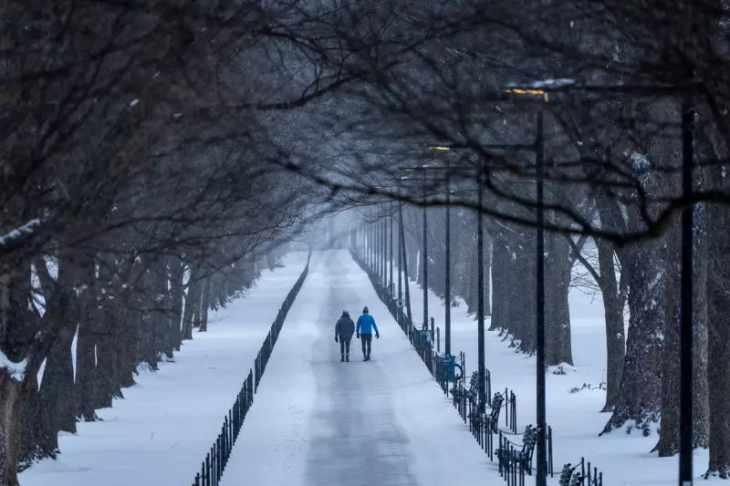 US Winter Storm Paralyzes Nation with Ice, Snow and Power Blackouts ...