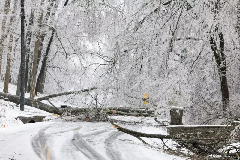 Winter Storm Power Outages Could Last Weeks as Utility Repairs Are ...