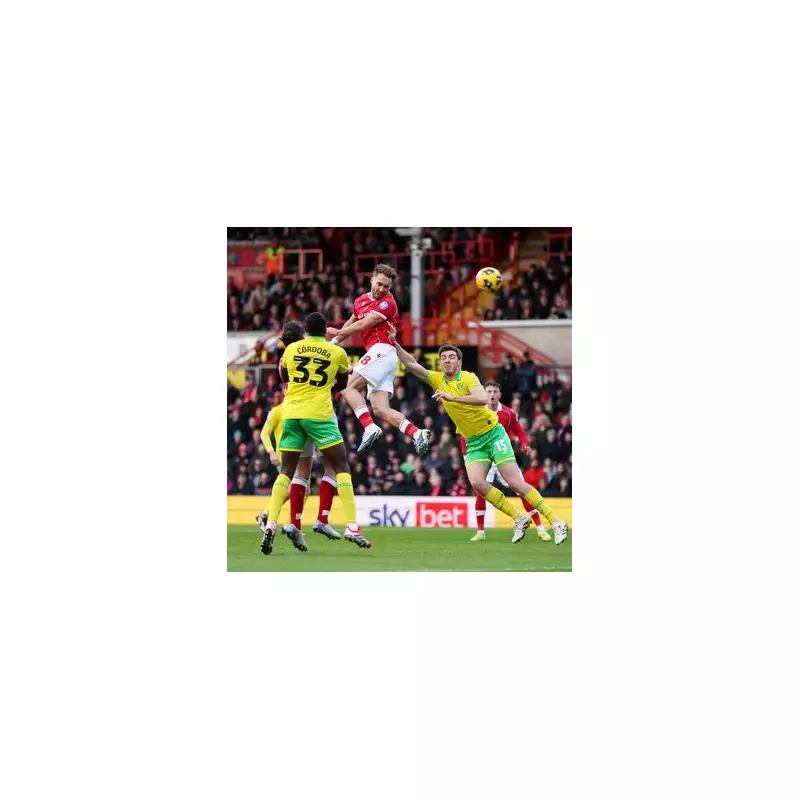 Wrexham vs Norwich Halted: Medical Emergency Stops Championship Clash ...