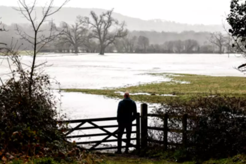 Storm Aftermath: UK Floods Threaten Wildlife While Nature Offers ...