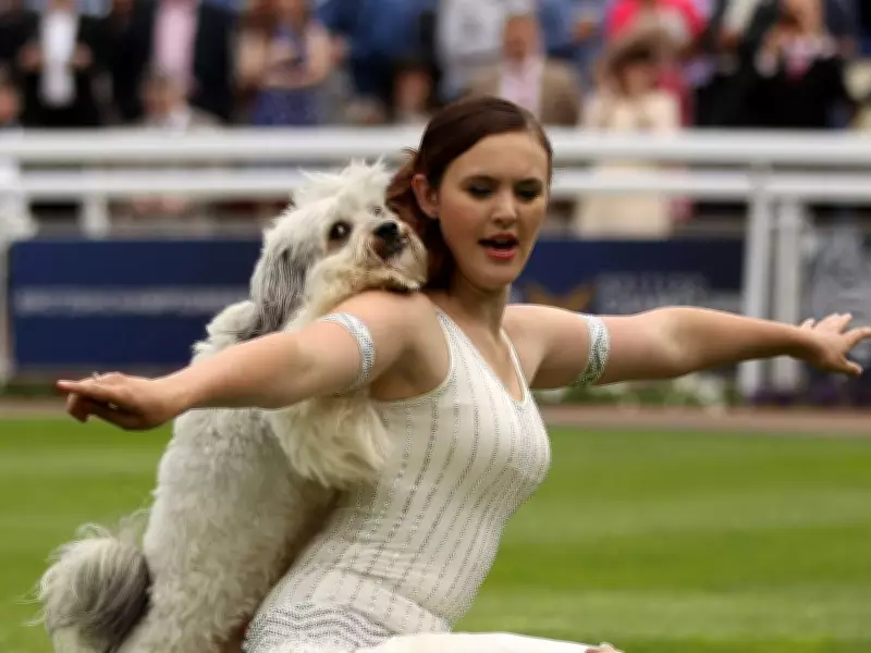 BGT Winner Ashleigh Butler's Life After Pudsey: Romance, Career, and ...