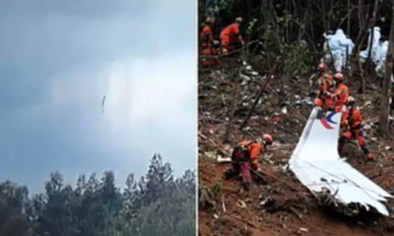 China Knew Pilot Deliberately Crashed Jet Within Weeks: NTSB Data ...