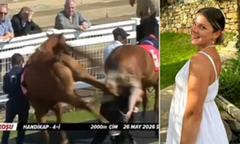 Stable Groom Hospitalised After Horse Kick at Redcar Racecourse ...