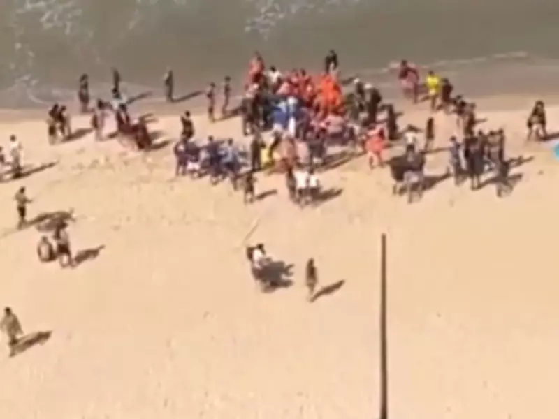 Boy, 11, Has Leg Amputated After Shark Attack on Brazilian Beach ...