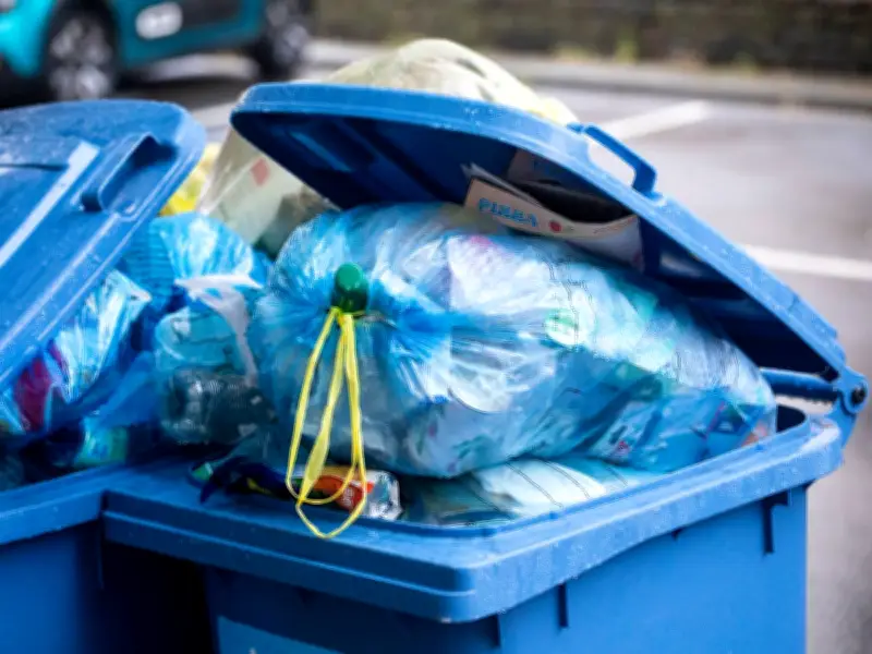 Neighbour's rubbish in my bin? I got the best revenge - Brit Brief