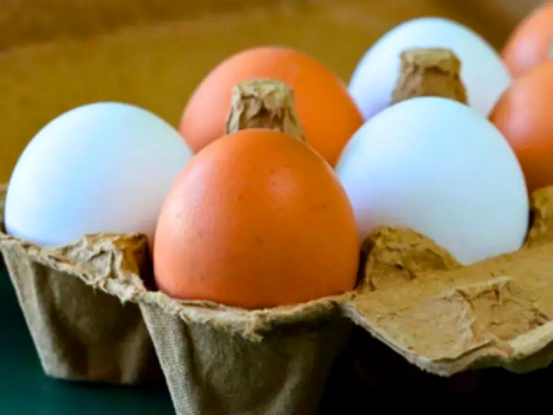 Store Eggs in Fridge Not Worktop to Keep Them Fresh Longer This Summer ...